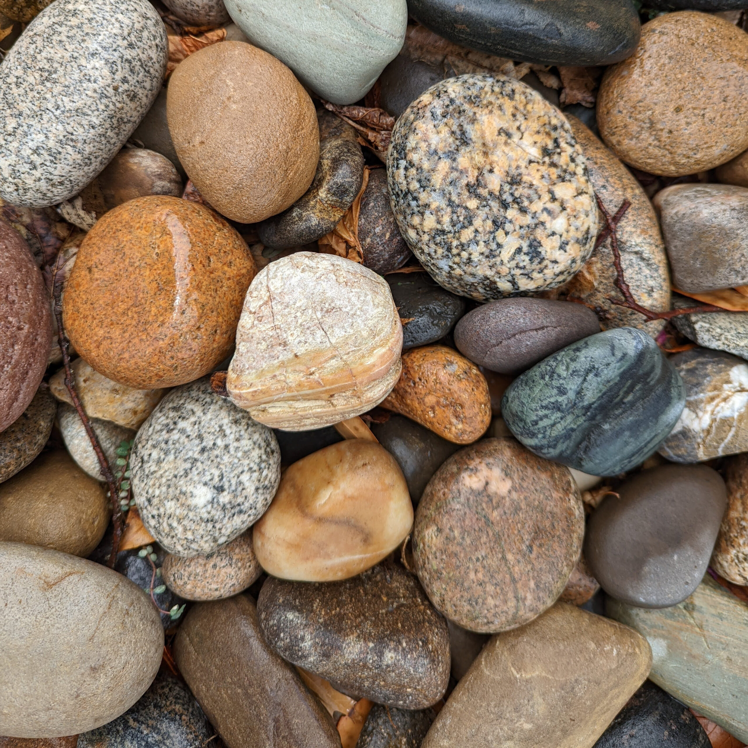 Choosing Your Dental Insurance Plan – With Math! - Engineering Your FI